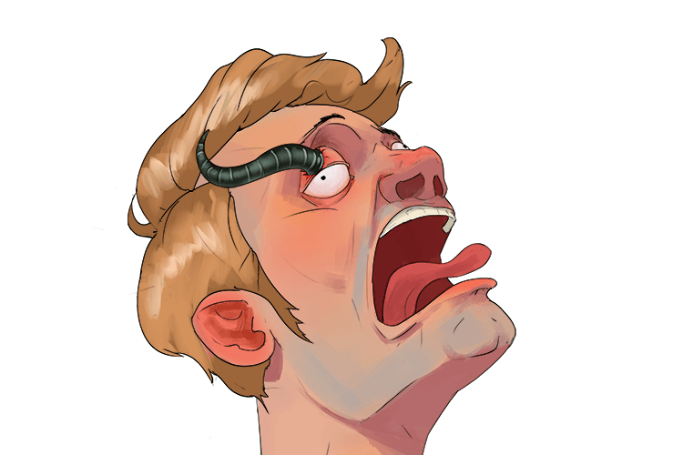 annelid - Mammoth Memory definition - remember meaning